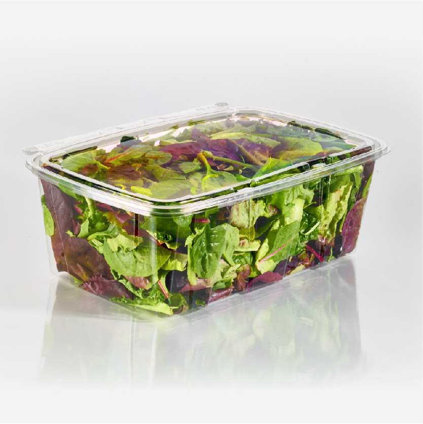 Plastic Salad Containers | Lacerta Group